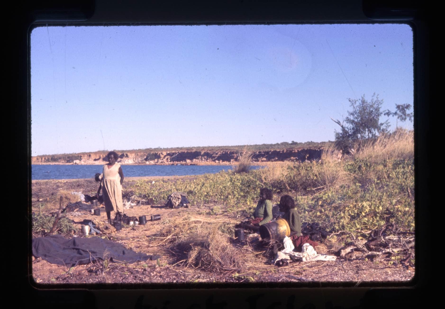 Séquence générée — Sally Gabori — Fondation Cartier pour l'art contemporain