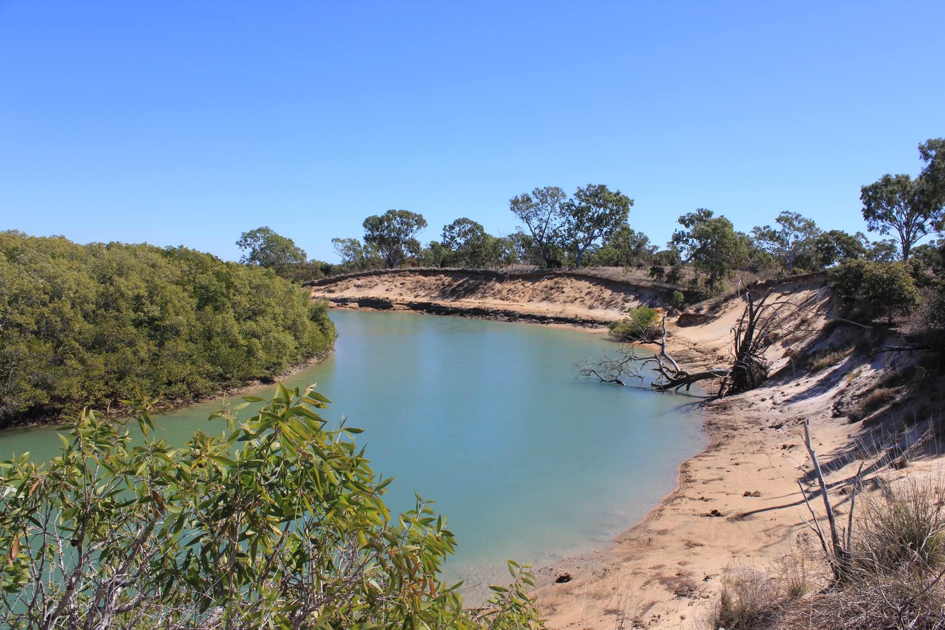 Séquence générée — Sally Gabori — Fondation Cartier pour l'art contemporain