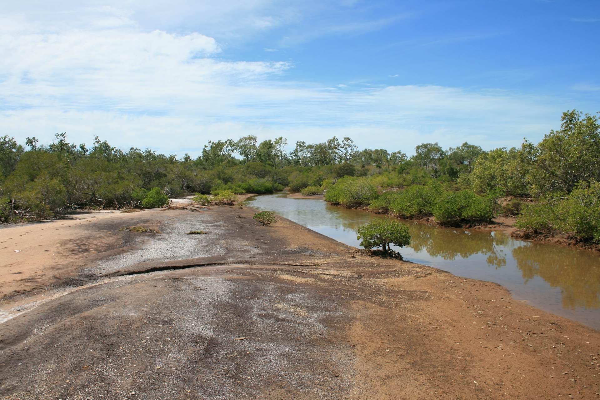 Séquence générée — Sally Gabori — Fondation Cartier pour l'art contemporain